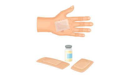 First aid for hand with ambustion or burn Vector Image