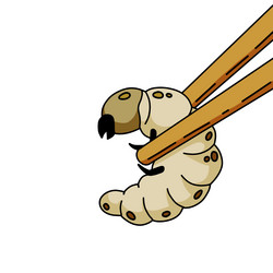 Edible larva eating caterpillar with chopstick Vector Image