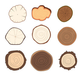 Tree Cross Section Vector Images (over 1,700)