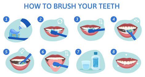 Kid brush teeth correct tooth brushing step Vector Image