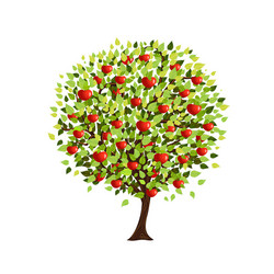 Apple tree fruit tree Royalty Free Vector Image