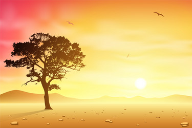 Ecosystem desert Royalty Free Vector Image - VectorStock