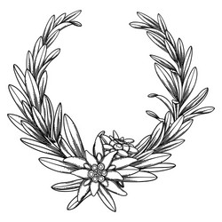 Edelweiss hand drawn Royalty Free Vector Image