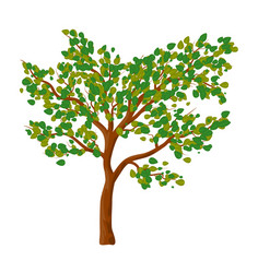 Cartoon tree symbol icon design beautiful Vector Image