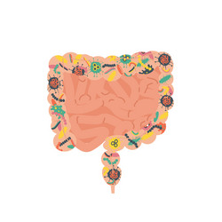 Cartoon gut human body organ intestine character Vector Image