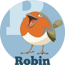 Robin Red Breast Vector Images (64)