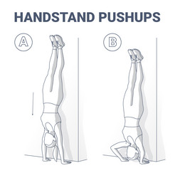 Push Up Exercise Vector Images (over 2,800)