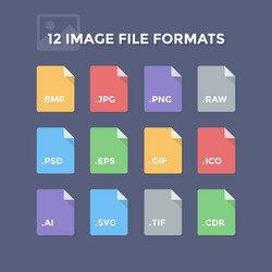 Bmp file format icon bitmap image extension Vector Image