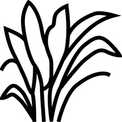 Sword Fern Vector Images (over 150)