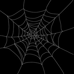 Spider Web Circle Vector Images (over 1,100)