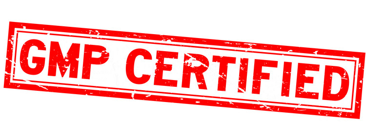 Grunge red gmp certified word with star icon Vector Image