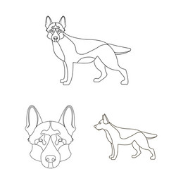 Sheepdog Outline Vector Images (over 280)