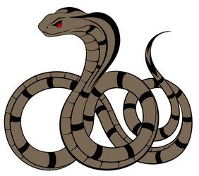 Snake Striking Vector Images (over 270)