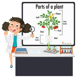 Parts of Plant Clipart Vector Images (over 410)