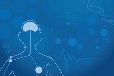 Body Structure Vector Images (over 12,000)