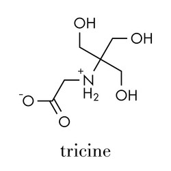 Bicine buffering agent molecule skeletal formula Vector Image