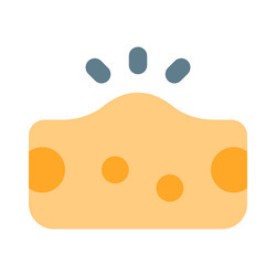 Cross section view of the acne skin layer layout Vector Image