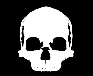 Outline human skull Royalty Free Vector Image - VectorStock