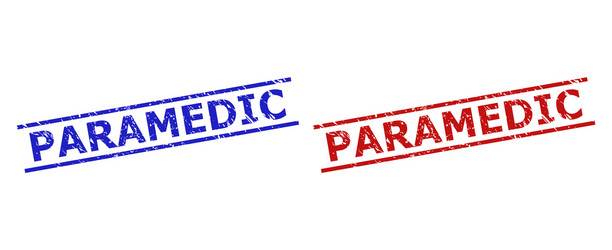 Paramedic Badge Vector Images (over 420)