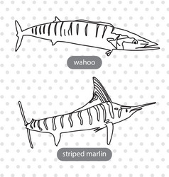 Wahoo Vector Images & Graphics for Commercial Use | VectorStock