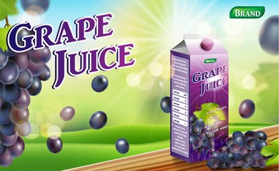 Juice package set carton box Royalty Free Vector Image