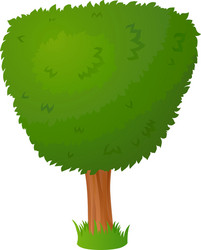 Cartoon tree Royalty Free Vector Image - VectorStock