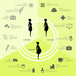 Pregnancy and birth infographics stages Royalty Free Vector