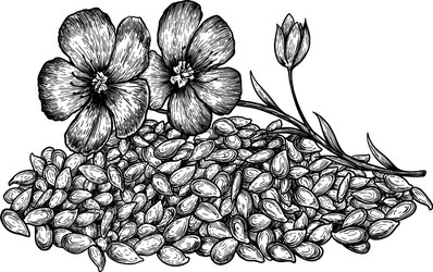 Flax Vector Images (over 4,200)