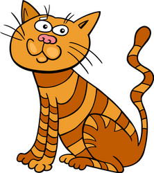 Red cat character cartoon Royalty Free Vector Image