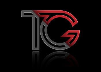 Stylized lowercase letters g and t in red Vector Image