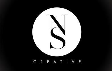 Ns artistic letter logo design with serif font Vector Image