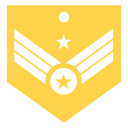 Army Sergeant Major Rank