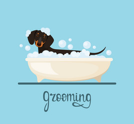Grooming Royalty Free Vector Image - VectorStock