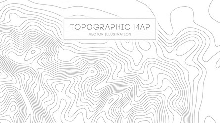 Topographic map lines topology outline contour Vector Image