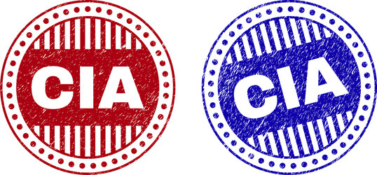 Bicolor cia agent grunge rubber stamp with spy Vector Image