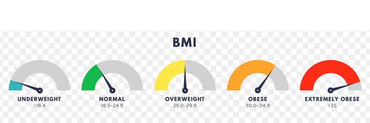 Body Mass Index Infographic Vector Images (over 370)