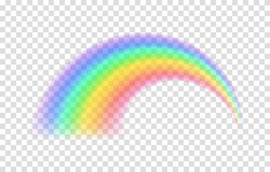Realistic rainbow on transparent background Vector Image