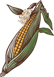 Corn Husk Vector Images (over 930)