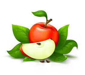 Raspberry isolated on white background Royalty Free Vector