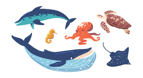 Sea creature fish dolphin whale crab clip art Vector Image