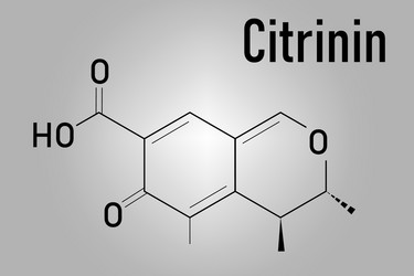 Mycotoxin Vector Images (59)