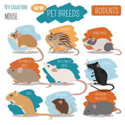 Laboratory Mice Vector Images (over 1,200)