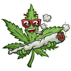 Marijuana Leaf Character Cartoon Royalty Free Vector Image