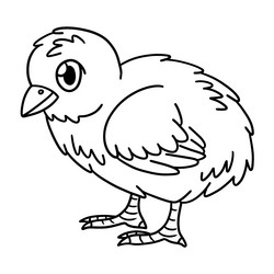 Chick coloring page isolated for kids Royalty Free Vector