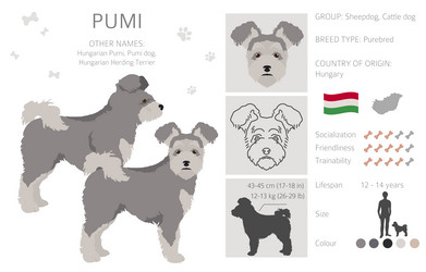 Pumi clipart different poses coat colors set Vector Image