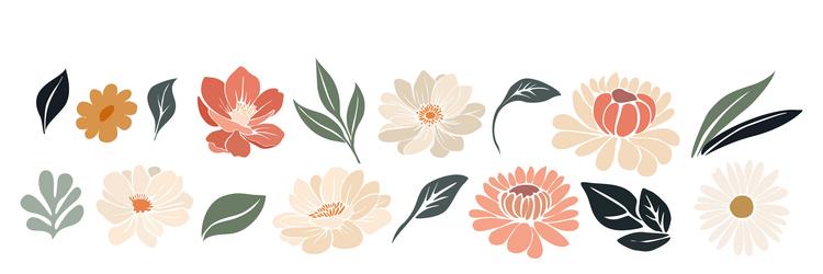 Set of hand drawn floral design elements Vector Image