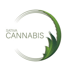 Simple icon of cannabis leaf silhouette sativa Vector Image