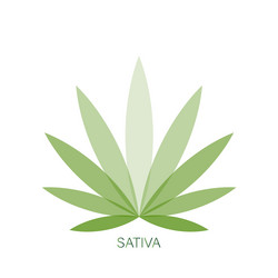 Simple icon of cannabis leaf silhouette indica Vector Image