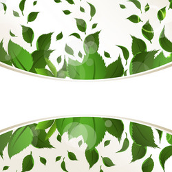 Abstract background with green leaves for design Vector Image