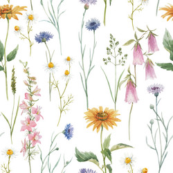 Spring garden seamless pattern with hand drawn Vector Image